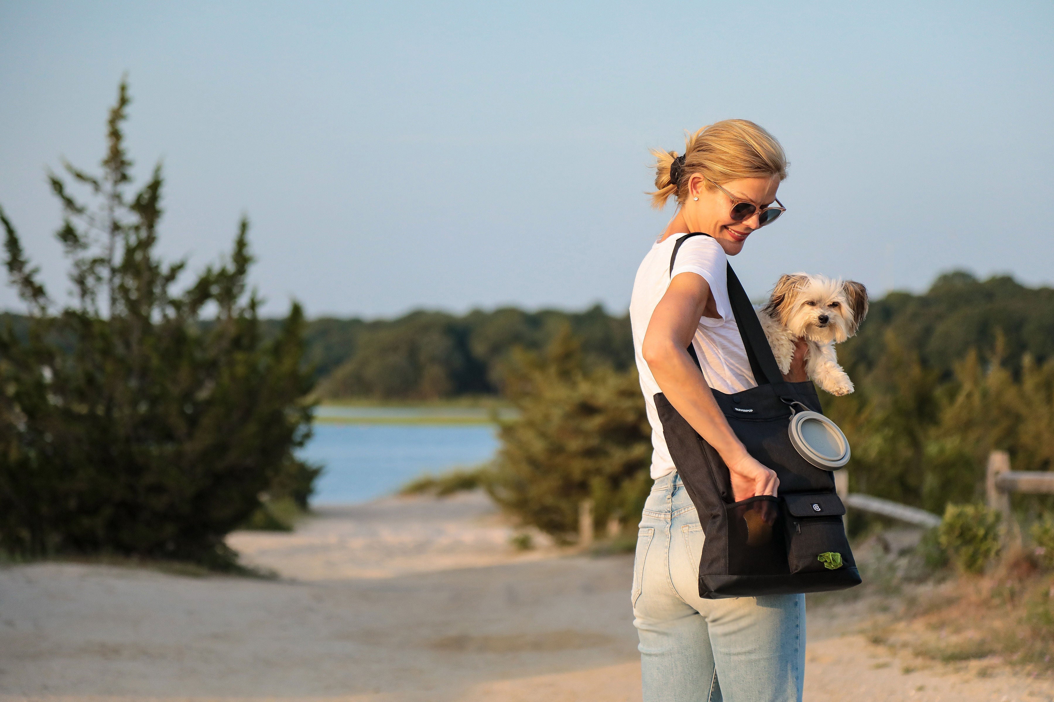 Dog Friendly Hotels: How to Find the Right Hotel | Cleverpup