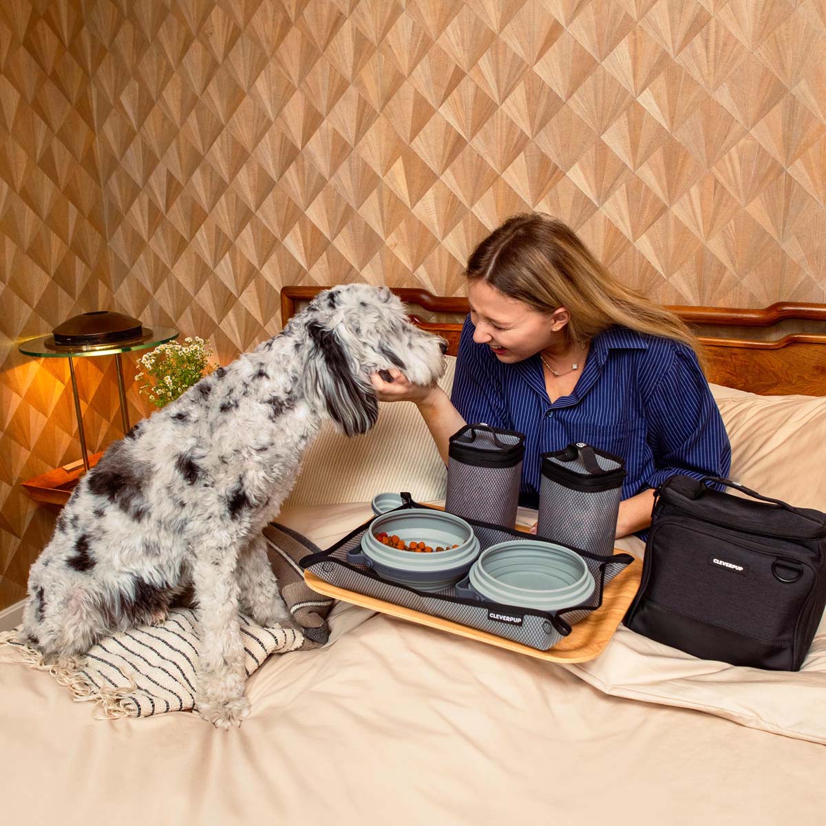 Bistro Box Dog Food Travel Kit – Cleverpup