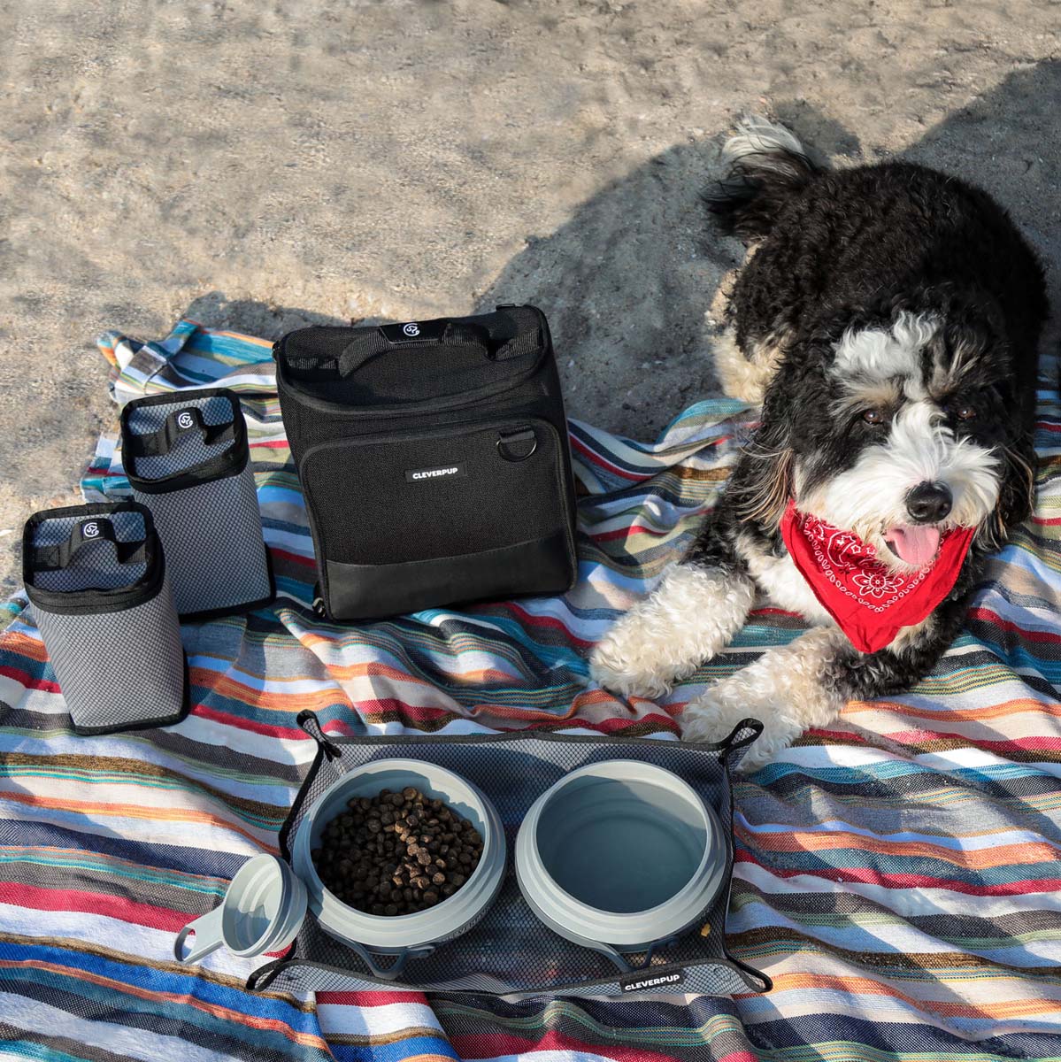 Bistro Box Dog Food Travel Kit – Cleverpup